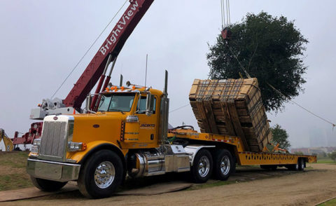 Services - Larry Jacinto Construction